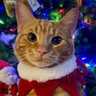 Иконка канала MrDybau