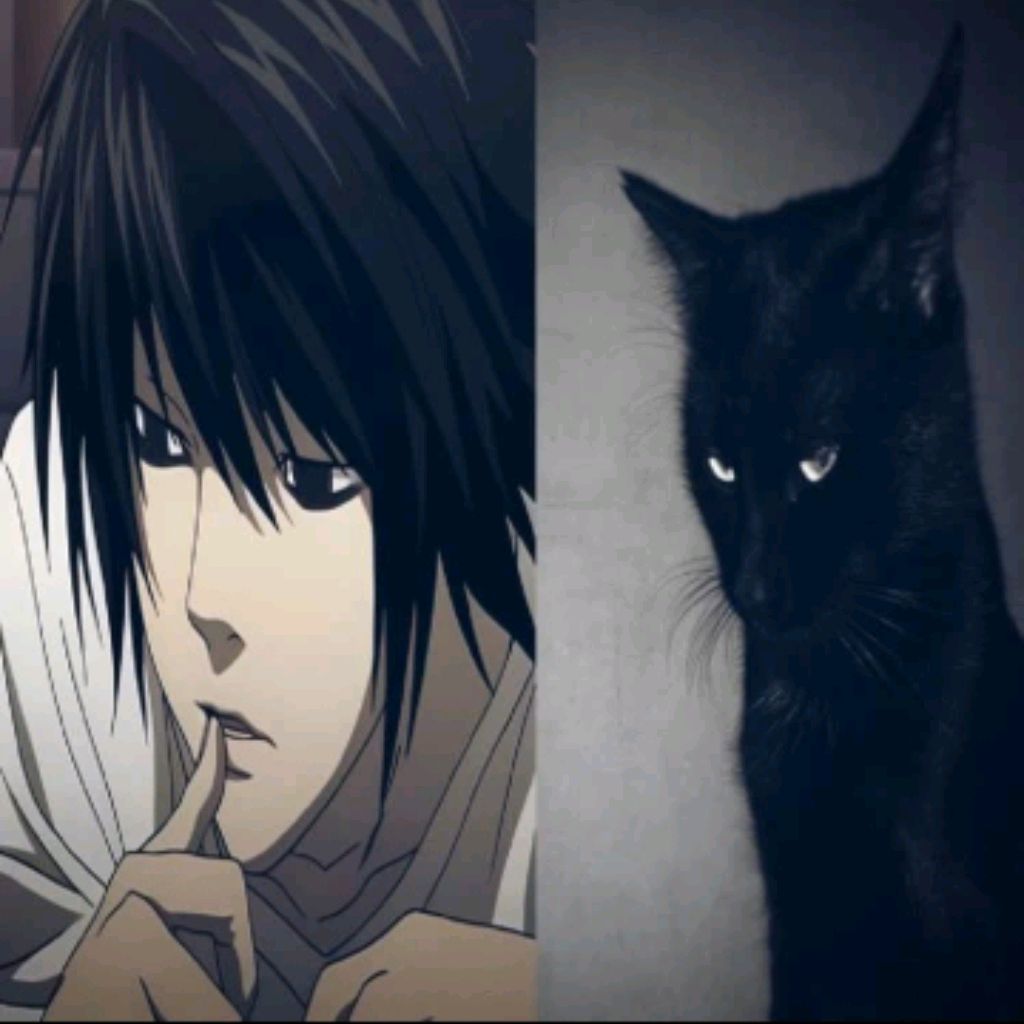 Иконка канала SADRIK DXX