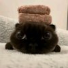 Иконка канала Меня_нет