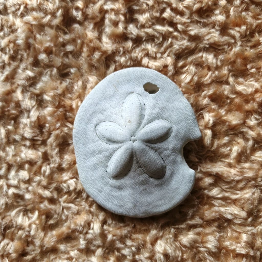 Иконка канала channel74319664