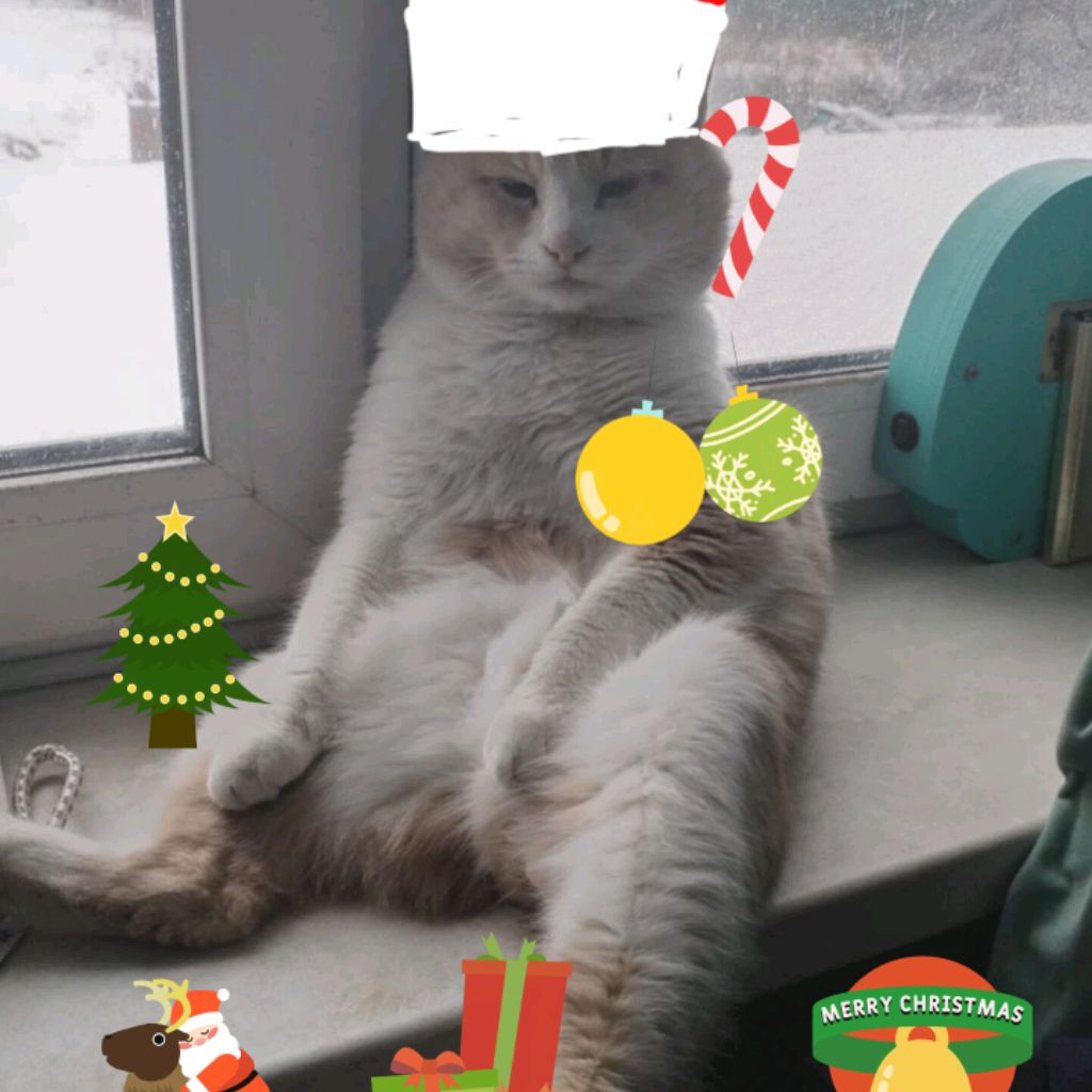 Иконка канала Супер Печенька