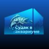 Иконка канала СУДАК В АКВАРИУМЕ
