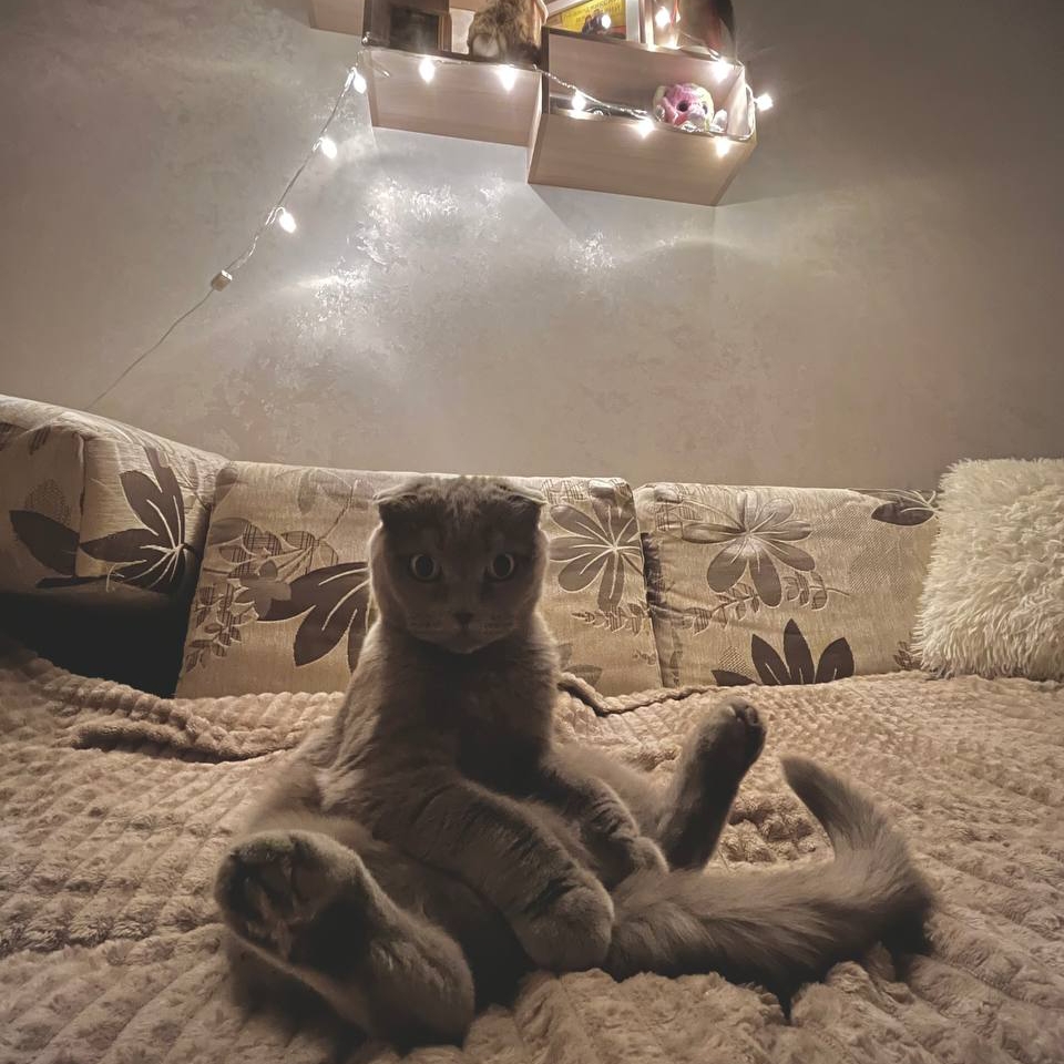 Иконка канала KartoIIIka88