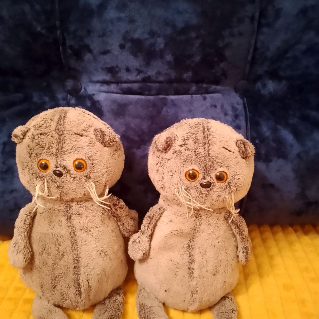 Иконка канала Баскойн