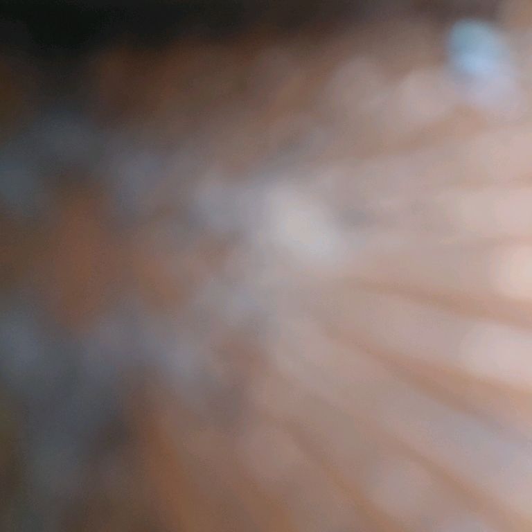 Иконка канала Рваный кед