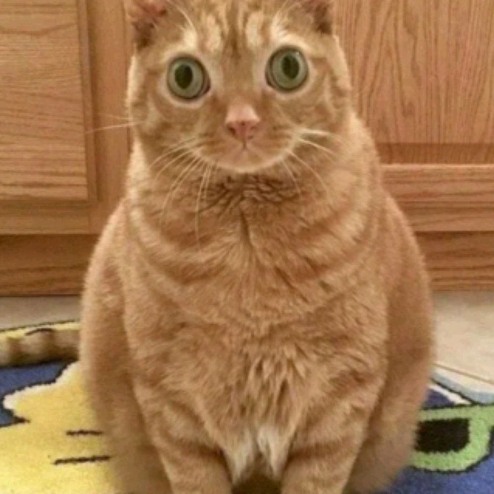 Иконка канала Sofy+:)