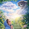 Иконка канала SHINEKAT for soul
