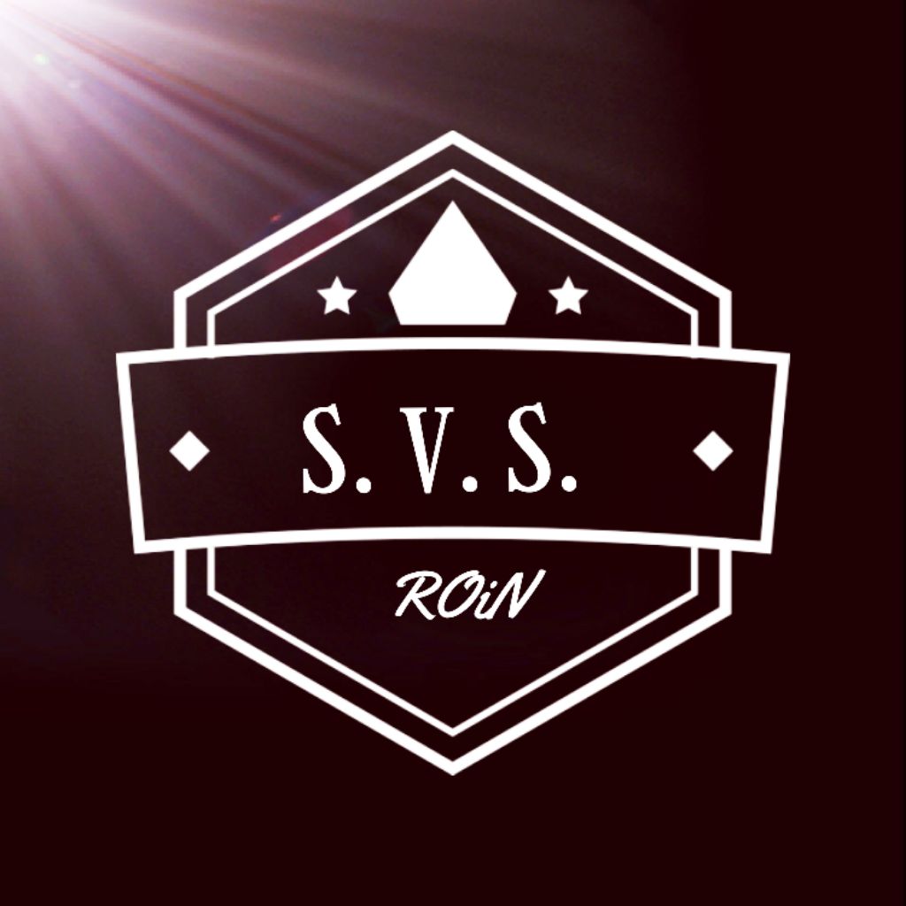 Иконка канала S. V. S. ﹤﹤﹤roin﹥﹥﹥