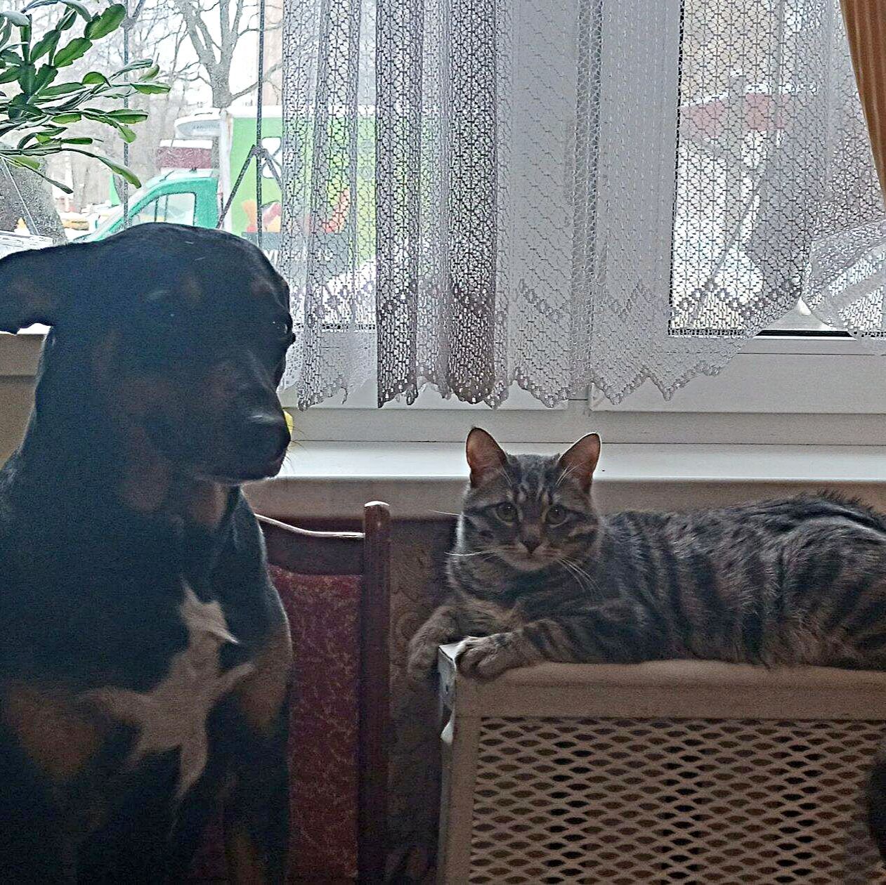 Иконка канала Прогулки и ВЕЛОпрогулки выходного дня...........