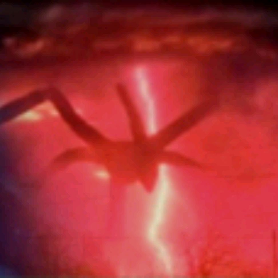 Иконка канала Ягрик