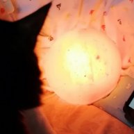 Иконка канала CapybariX / rutube