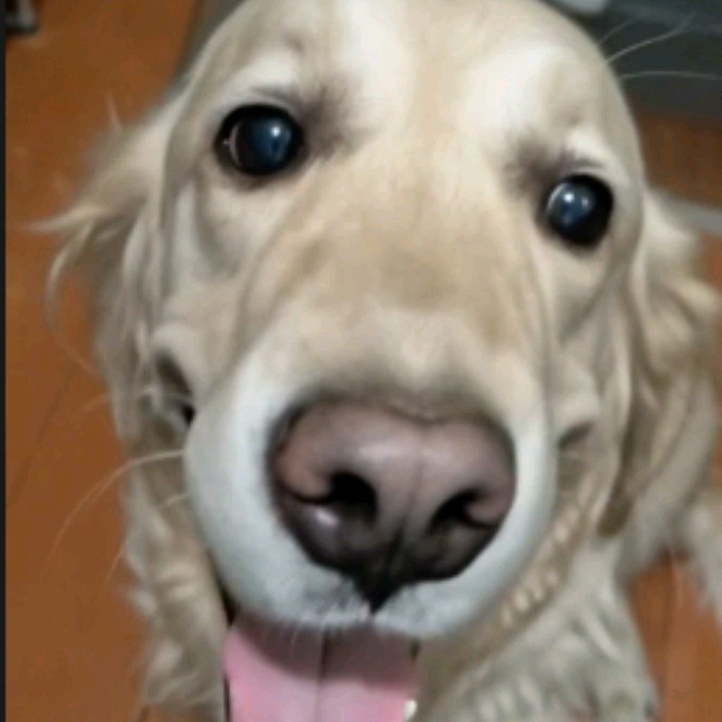 Иконка канала Джуди тв