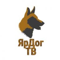 Иконка канала ЯрДогТВ