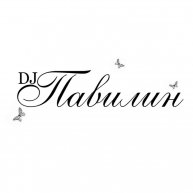 Иконка канала DJ Павилин