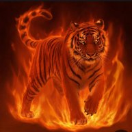 Иконка канала FireTiger 85358