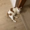 Иконка канала Играем на серверах