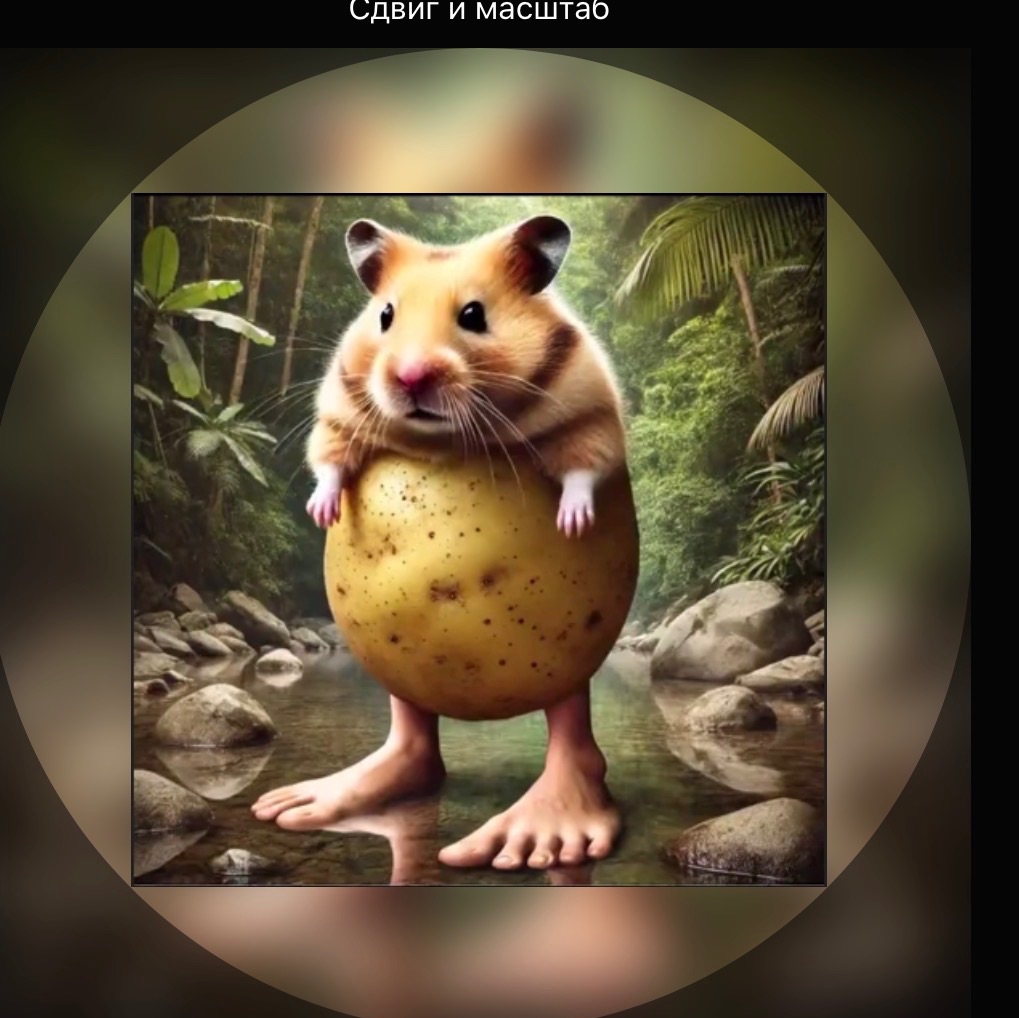 Иконка канала Настя 😎✅