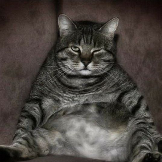 Иконка канала ॐ (Õᙢ)