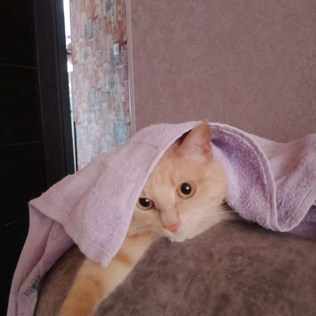 Иконка канала Мистика И Вызовы