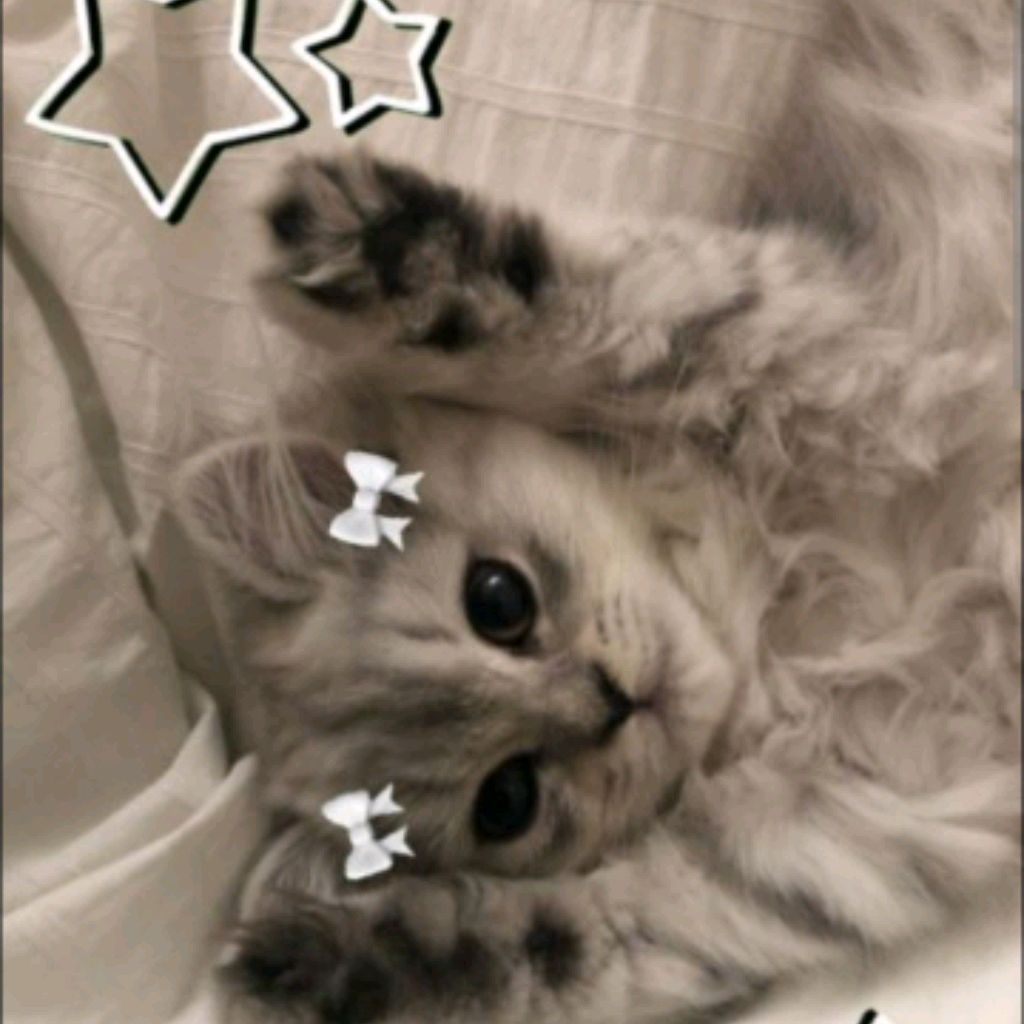 Иконка канала Иринка-Ириска