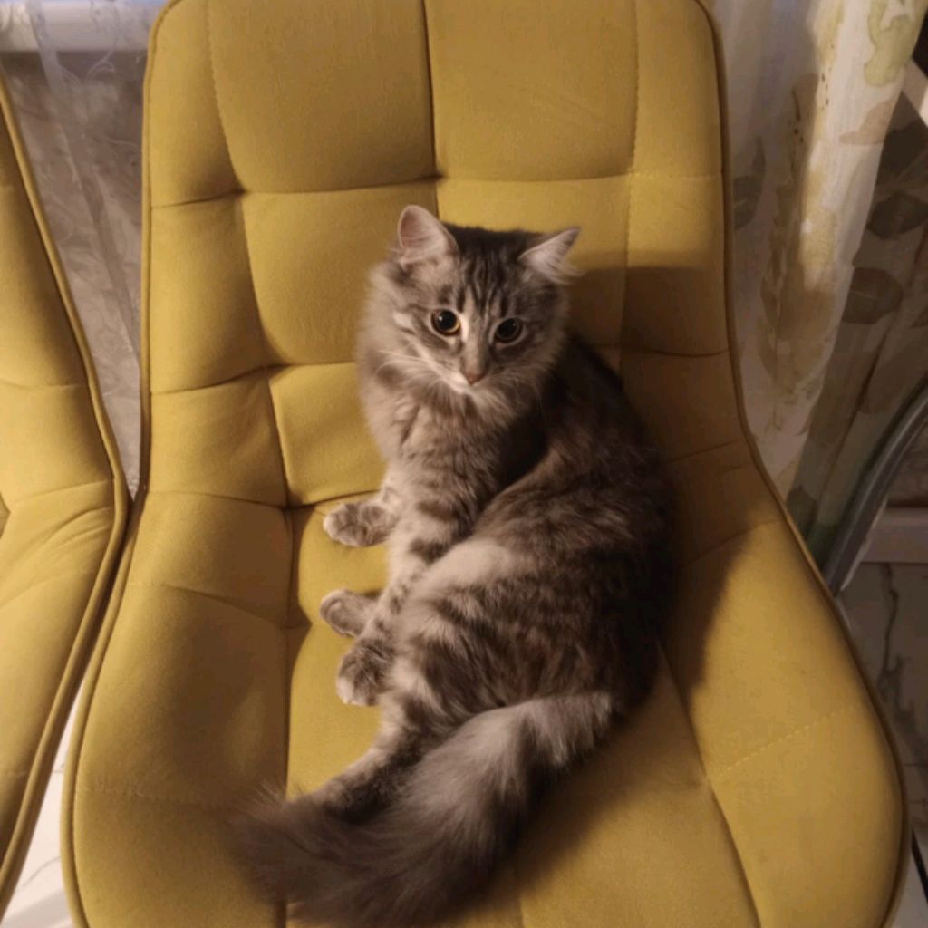 Иконка канала Gim Play & Друзья