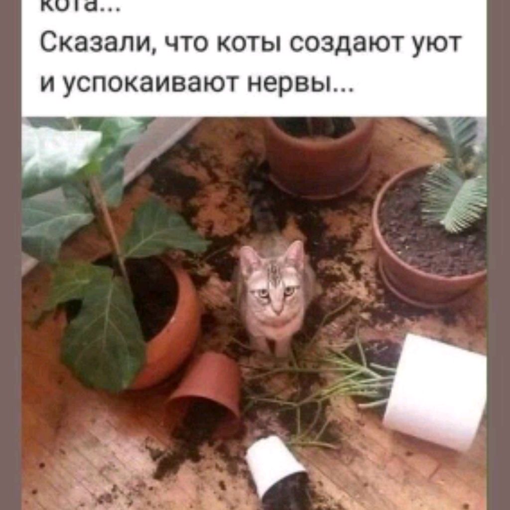 Иконка канала channel61033753