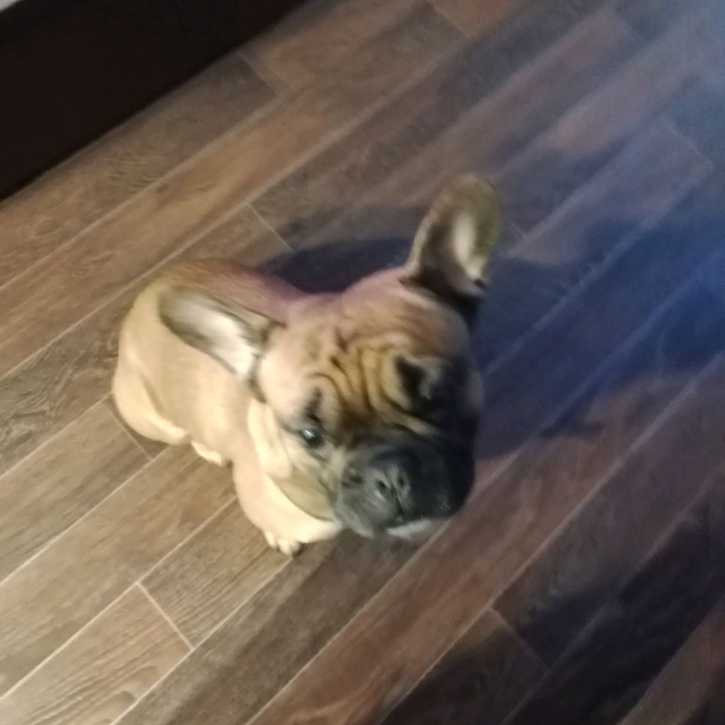 Иконка канала Archy  Art