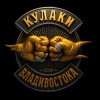 Иконка канала Кулаки Владивостока