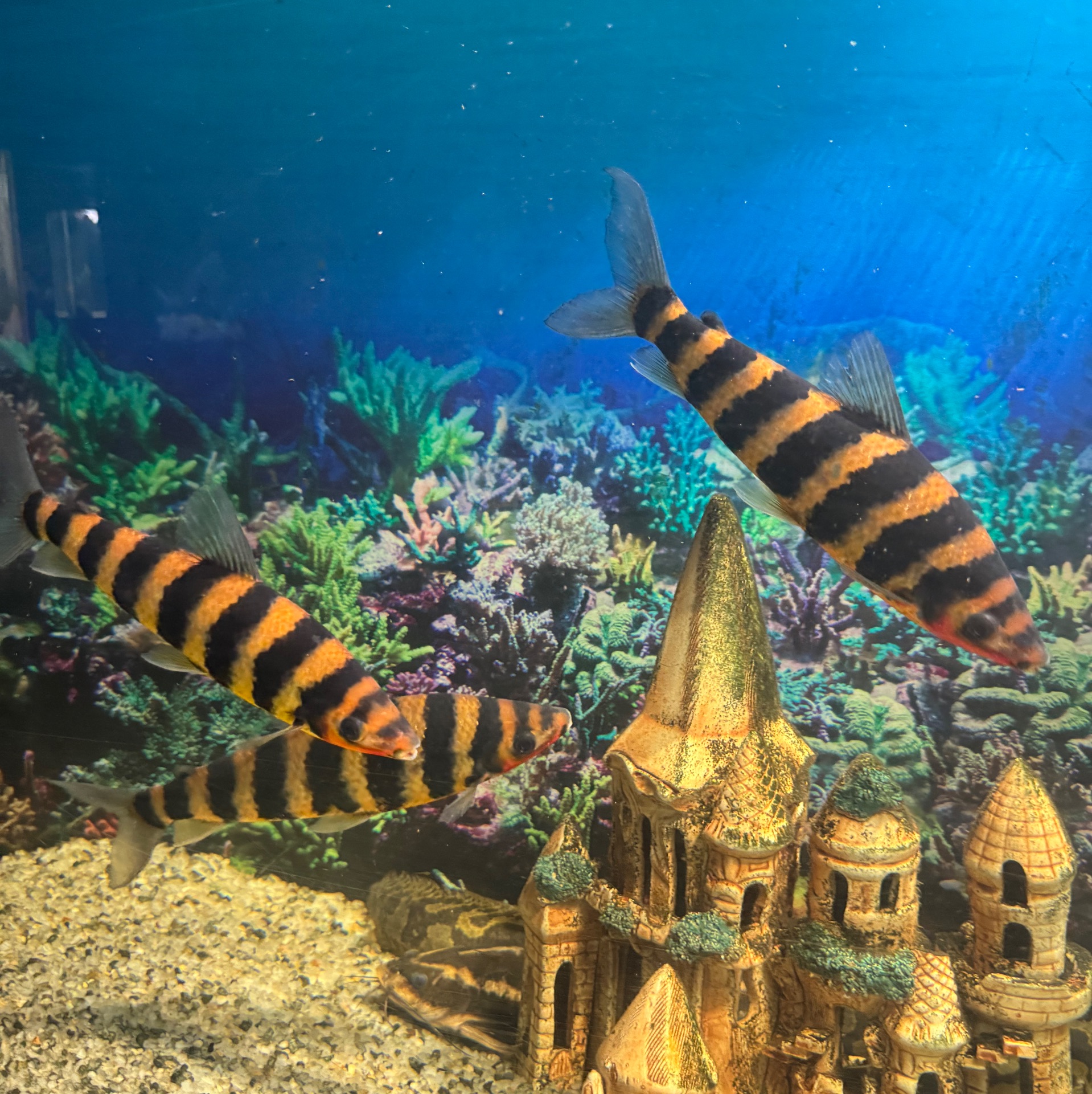 Иконка канала channel24789790