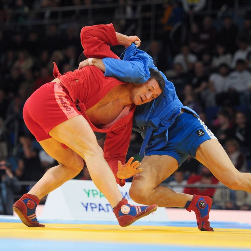 Иконка канала Самбо - наука побеждать