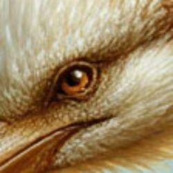 Иконка канала StorkTrend