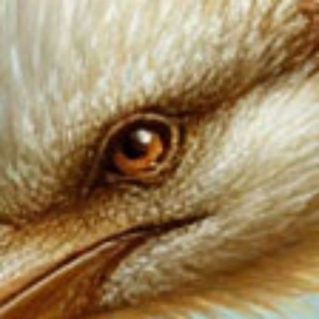 Иконка канала ЛордФильм.Онлайн