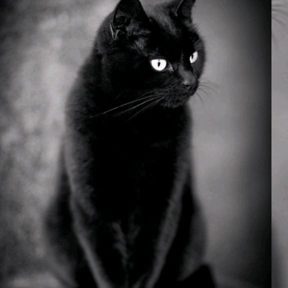 Иконка канала Мэри Сказ та самая