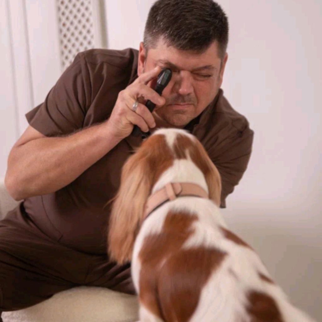 Иконка канала Правильная Ветеринария.(Евгений Сараев)