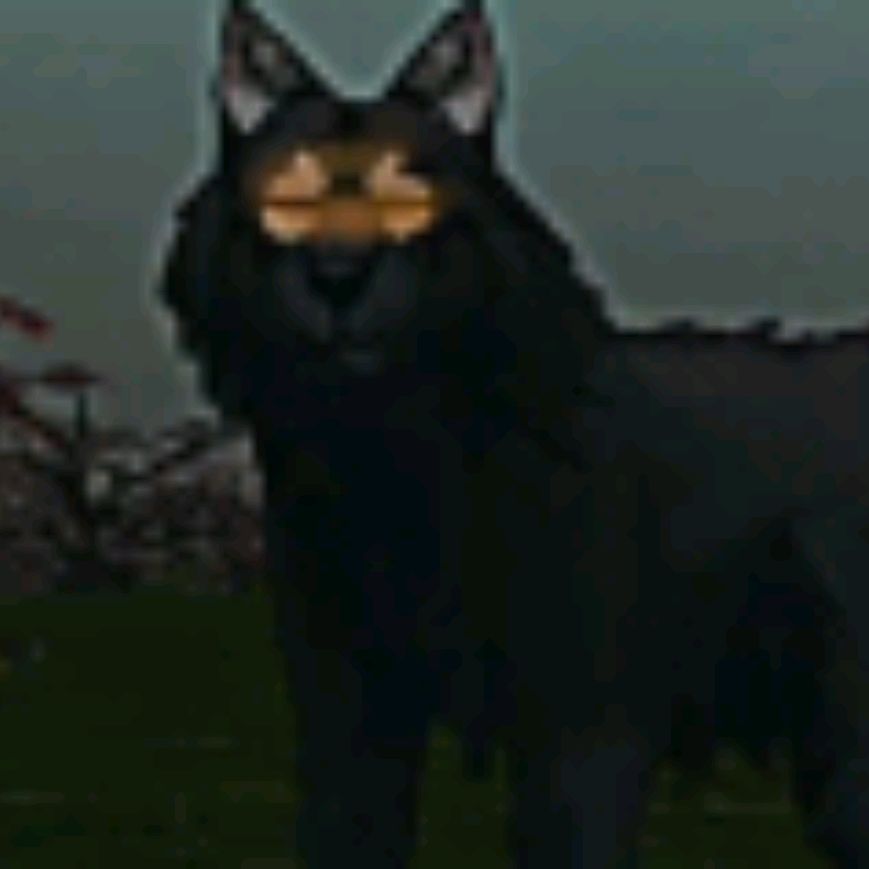 Иконка канала ★Элли ★ Вилдкрафт