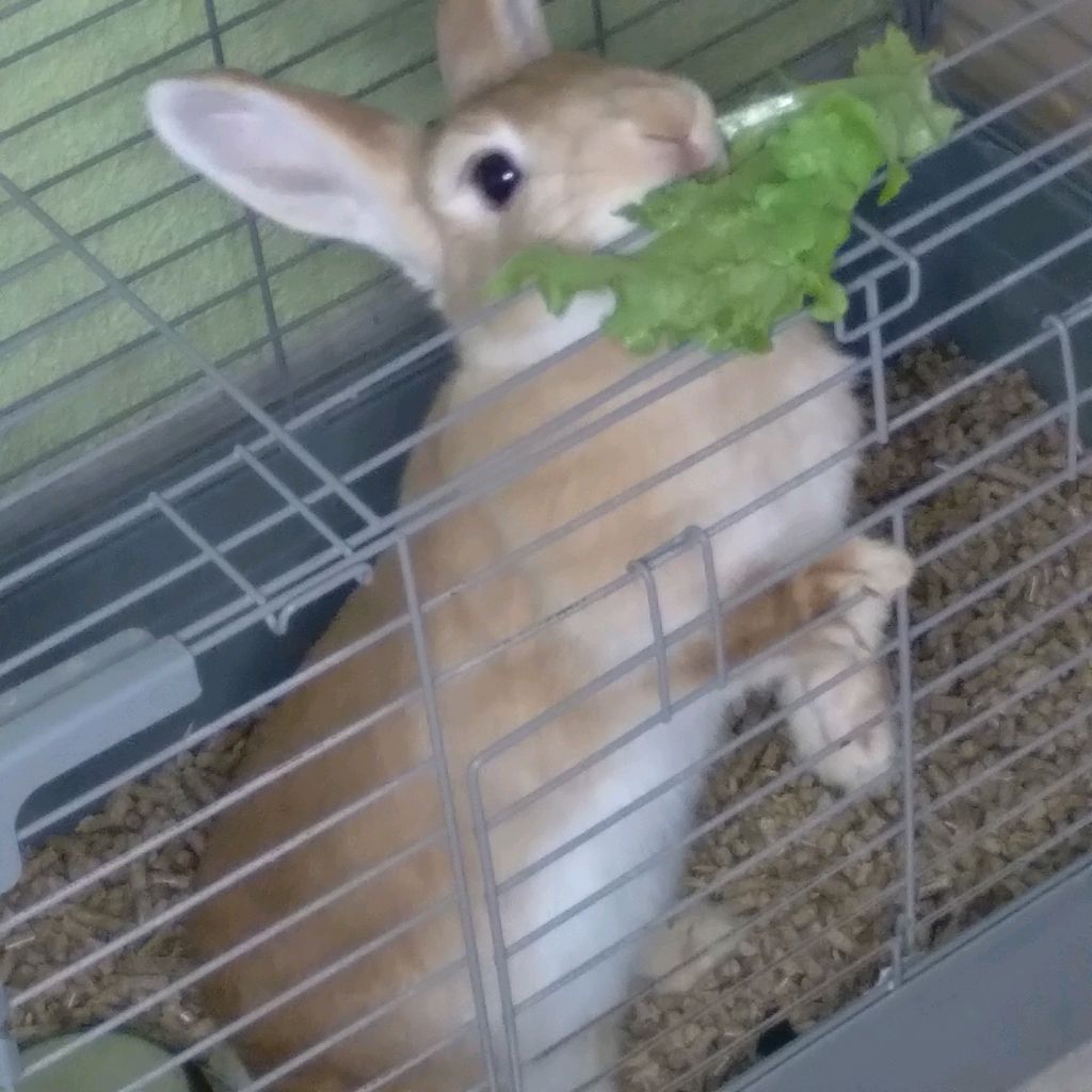 Иконка канала Мир насекомых с Тимофеем