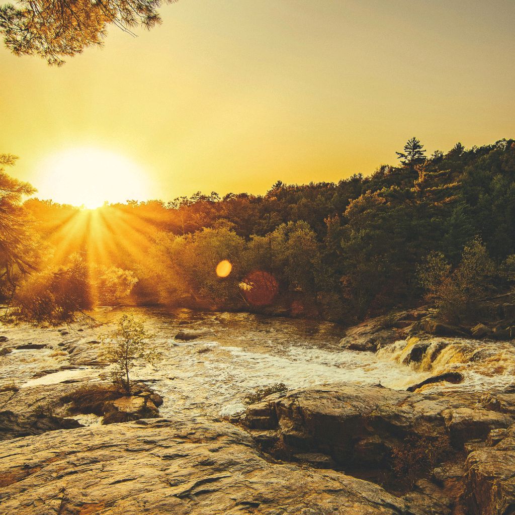 Иконка канала Giacomo_sbarbaro