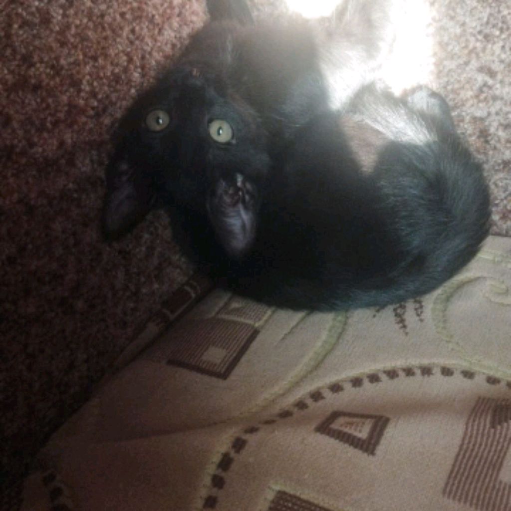 Иконка канала Артём Просов, Артём Козлов И Слава