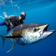 Иконка канала Встречи на водоёмах