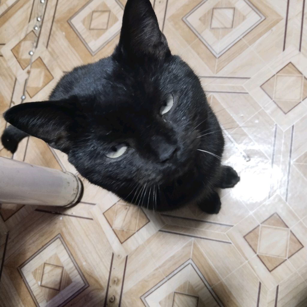 Иконка канала Всякая Всячина ❤️❤️❤️