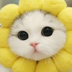 Иконка канала Мурзик тв 2