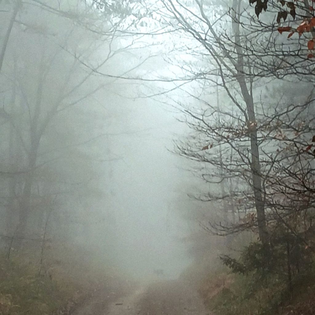 Иконка канала Рок. Философия Жизни.