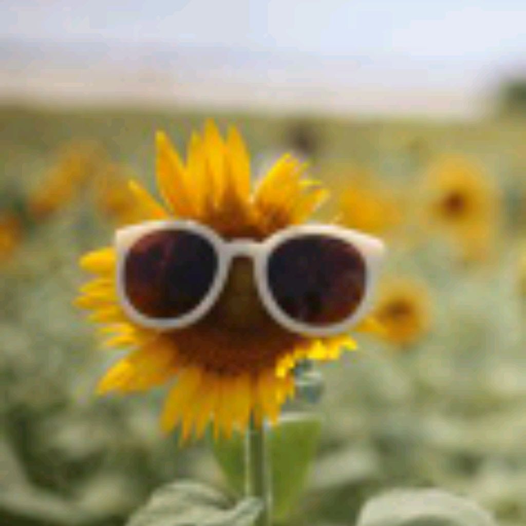 Иконка канала Прикольные Видео