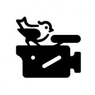 Иконка канала 24 ПТИЧКИ В СЕКУНДУ