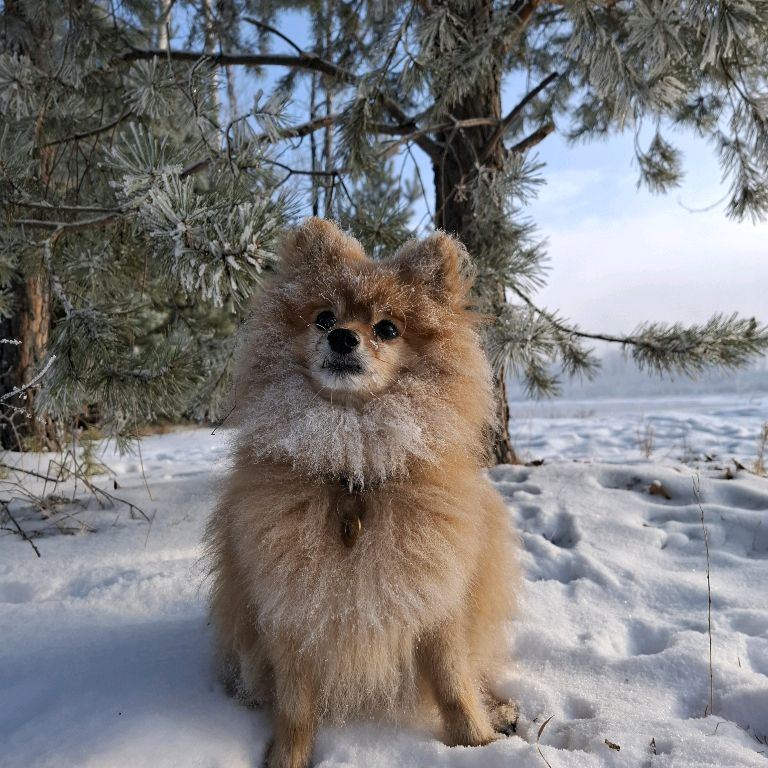 Иконка канала Киселёва Анастасия