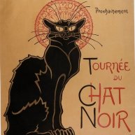 Иконка канала Кото‑Москва: между строк и лапок