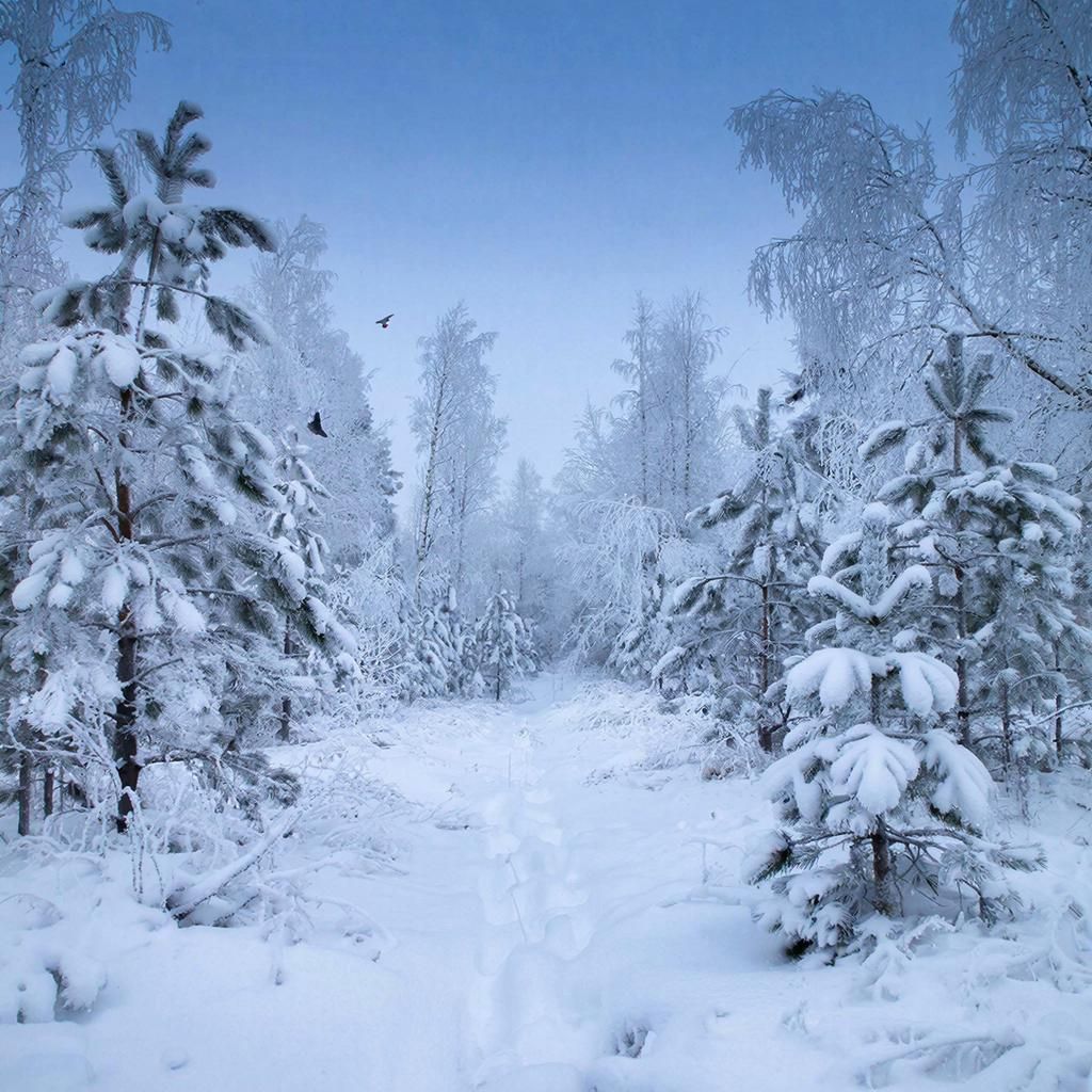 Иконка канала Стихи семейного клана (Гаранин-бэнд)