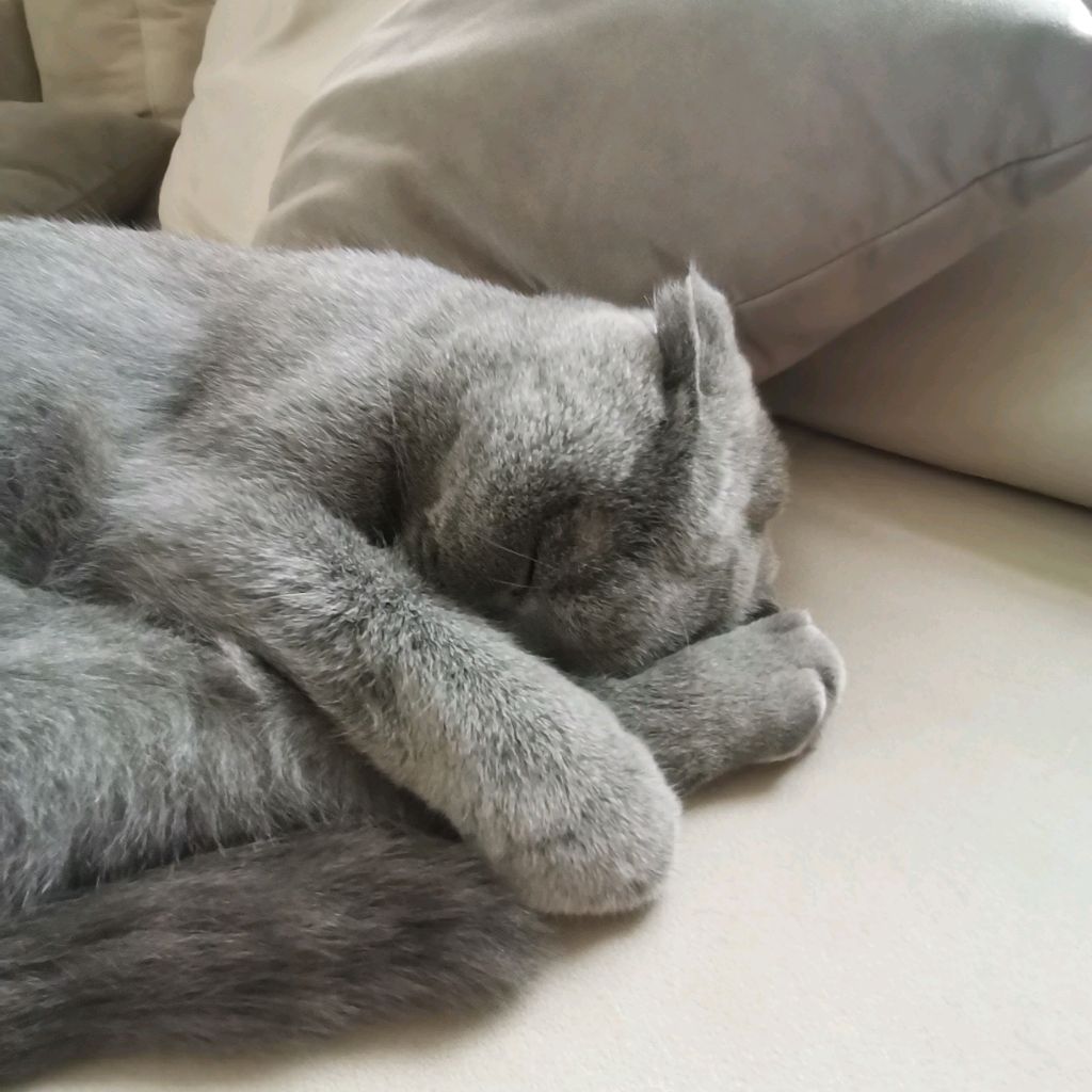 Иконка канала Ваникс