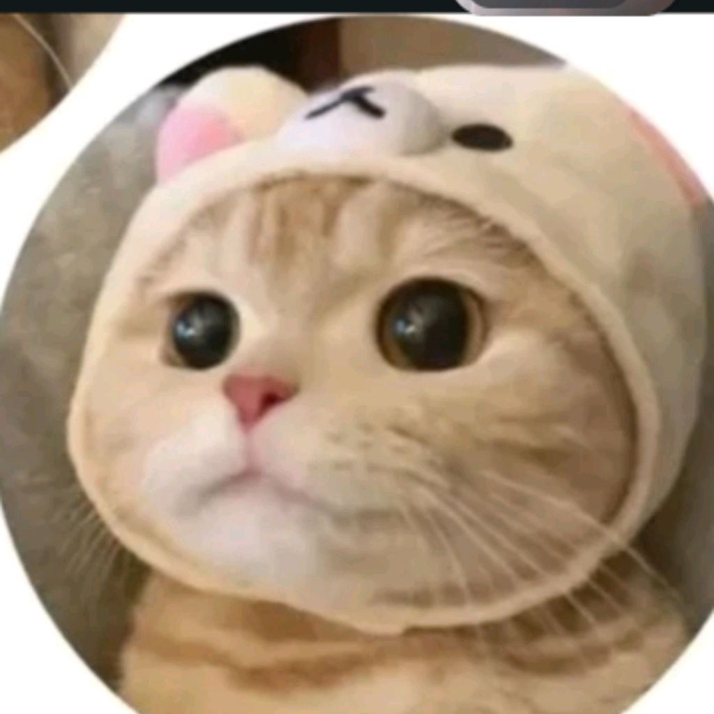 Иконка канала Вареник ❤💜💙