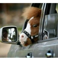 Иконка канала VALENTI_VIP_TURISTIK